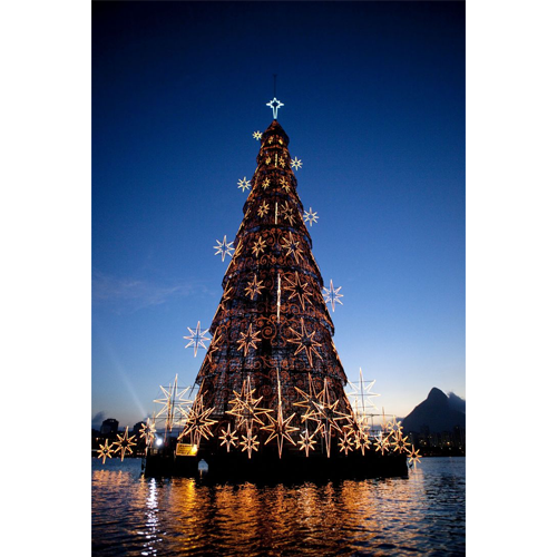 Christmas Trees Around The World | Appleyard Blog