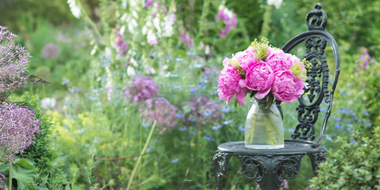 How to Photograph Flowers - The Flower Diaries | Appleyard London