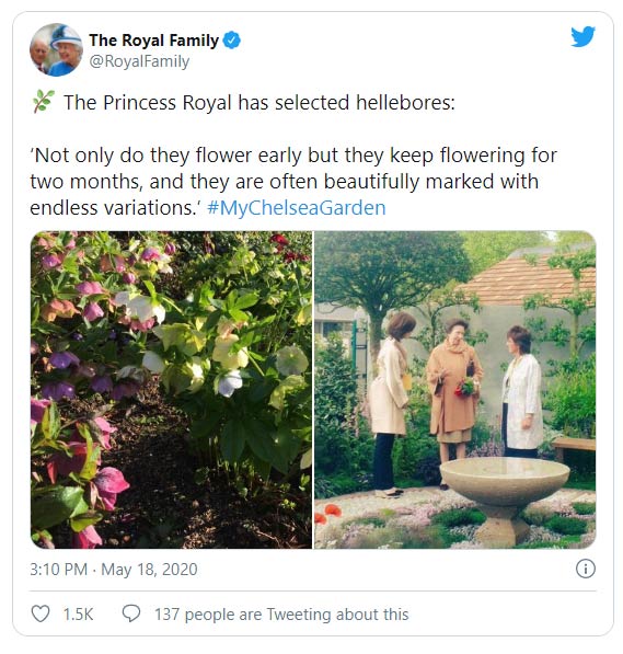 Revealed: The Royal Family's Favourite Flowers - Appleyard London
