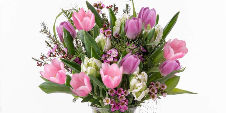 8 Best Cut Flowers for People with Hay Fever - Appleyard London