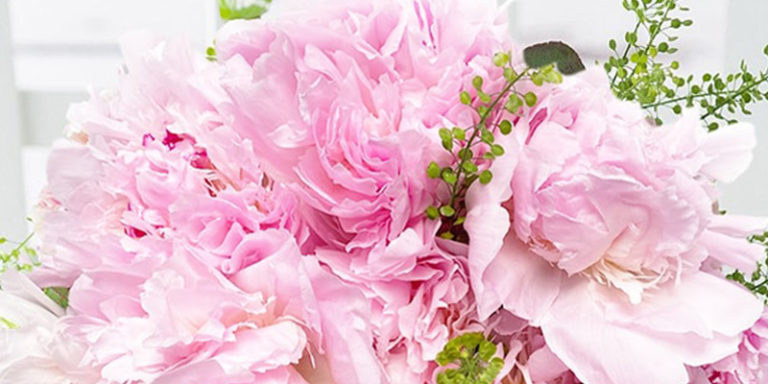 The History Of The Peony | Appleyard London | Luxury Flowers