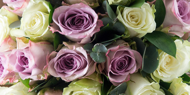 Our Top 10 Facts About Roses | Appleyard London | Luxury Flowers