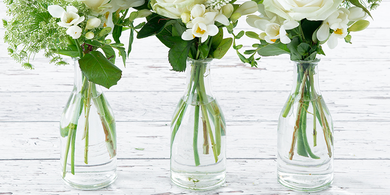 How To Care For Cut Flowers | Appleyard London