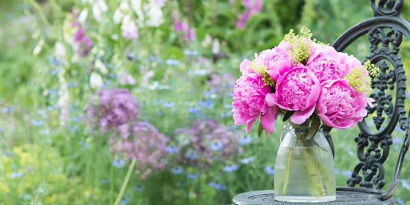 Scent from Heaven: The Flowers of Greek Mythology - Appleyard London