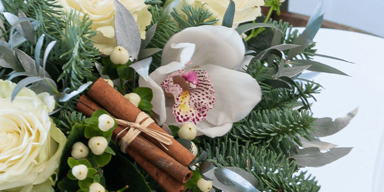Top 6 Traditional Christmas Flowers & Plants - Appleyard London