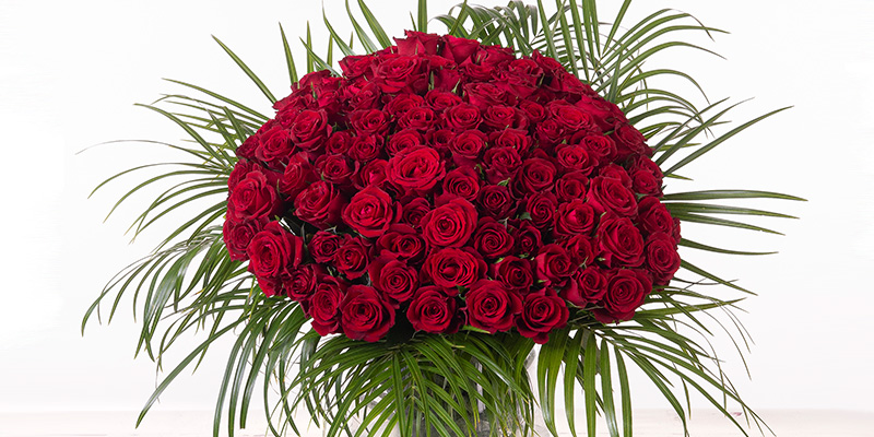 Scent from Heaven: The Flowers of Greek Mythology - Appleyard London