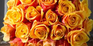 12 Flowers to Send to People You Hate - Appleyard London