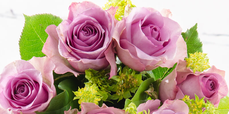Light Purple Roses Meaning