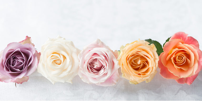 11 Flowers that Symbolise Kindness / THE FLOWER DIARIES