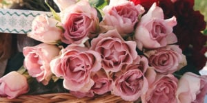 Floral Folklore: 12 Flowers Linked to Magic & Superstition - Appleyard