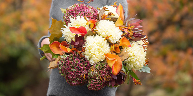 Floral fireworks! The best flowers & foliage for a Bonfire Night ...