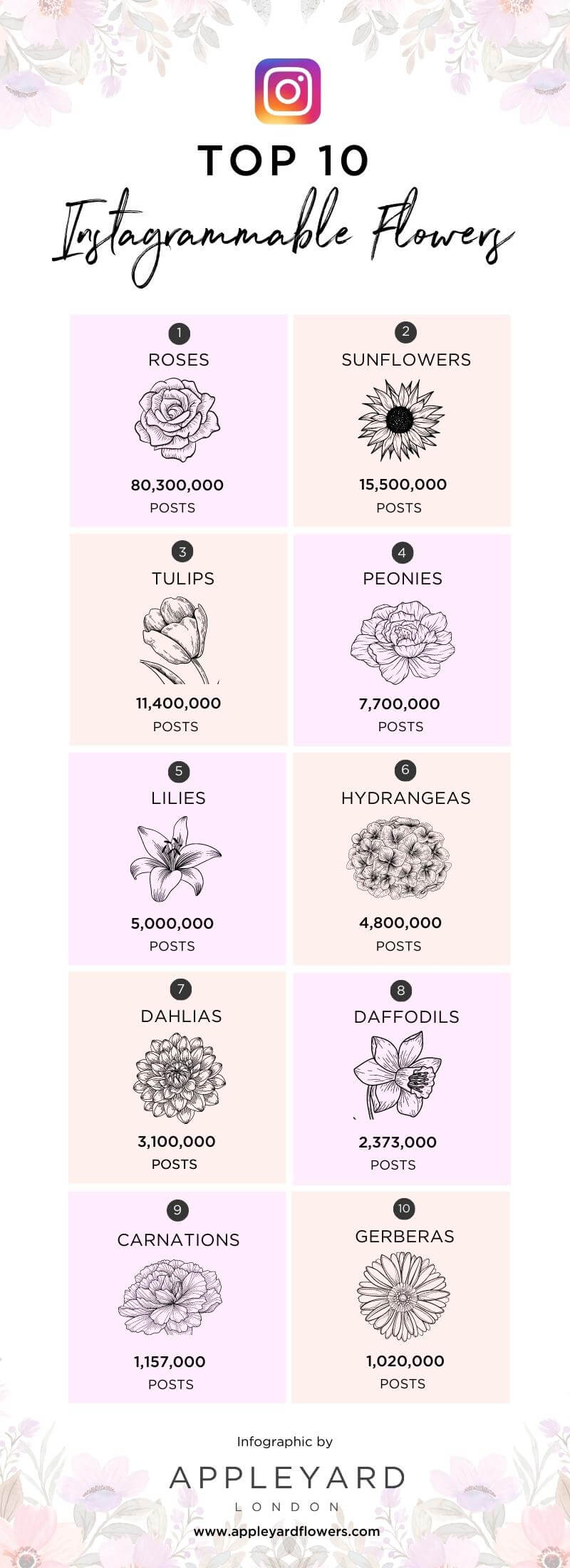 Top 10 Instagrammable Flowers (Infographic) | Appleyard London