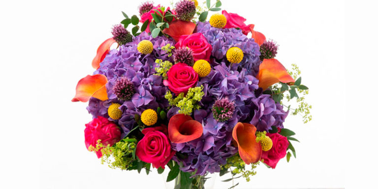 10 Flowers that Symbolise Friendship - Appleyard London