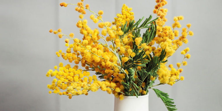 9 Flowers that Symbolise Femininity | Appleyard London