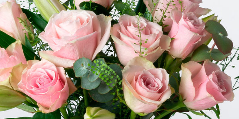 9 Flowers that Symbolise Femininity / THE FLOWER DIARIES