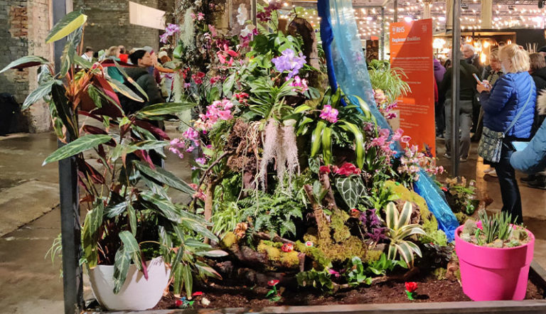 5 Expert Plant Tips from the RHS Urban Show | Appleyard