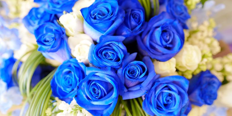 The Best Blue Flowers for Bouquets / THE FLOWER DIARIES