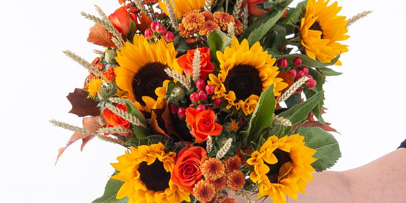Floral fireworks! The best flowers & foliage for a Bonfire Night ...
