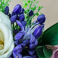 Florist Inspiration - January | Appleyard London