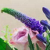 Florist Inspiration - January | Appleyard London