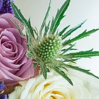 Florist Inspiration - January | Appleyard London