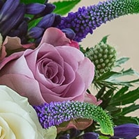 Florist Inspiration - January | Appleyard London