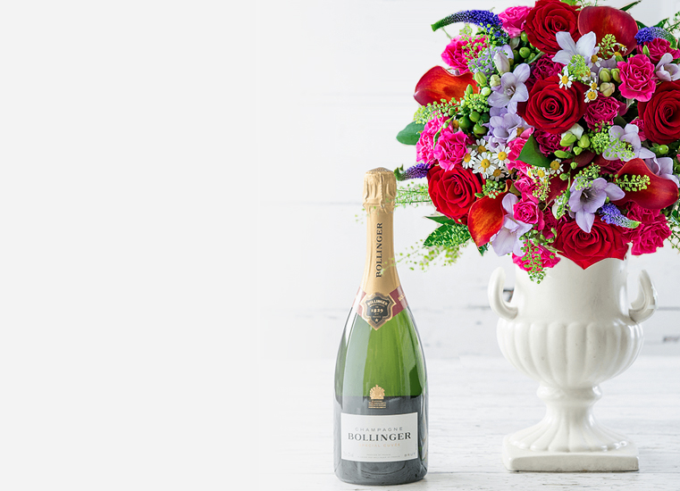 Plants & Gifts | Appleyard Flowers