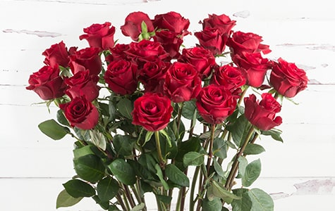 Appleyard London | Valentine's Day Rose Guide