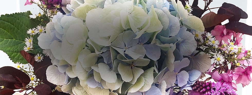 September Subscription - Sweet September