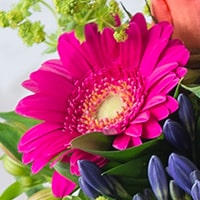 Florist Inspiration - August | Appleyard London