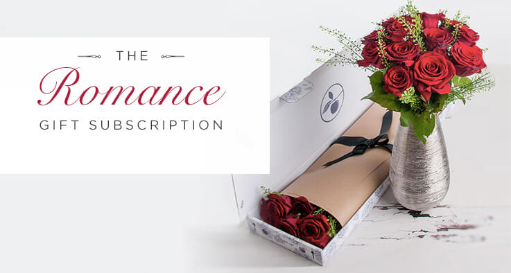 Appleyard Flowers | BUY ONLINE | Luxury Flowers Delivery