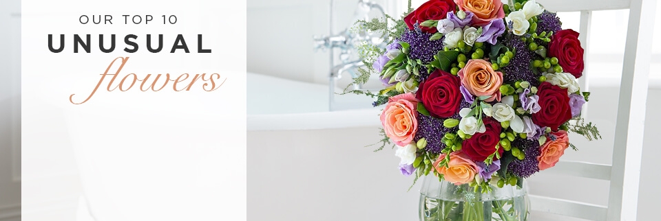 Unique Stems | Appleyard London | Luxury Flowers